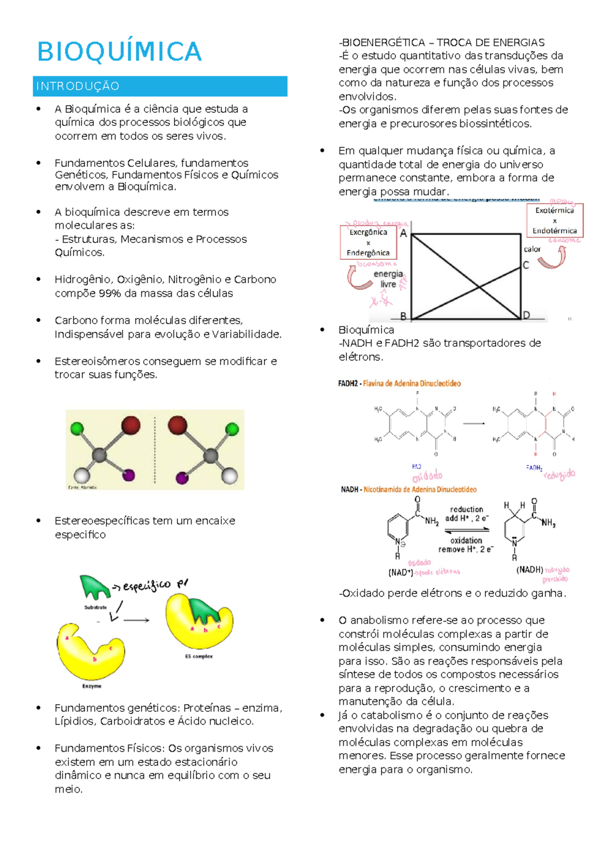 B Ioquímica - BIOQUIMICA - BIOQUÍMICA INTRODUÇÃO A Bioquímica é a ...