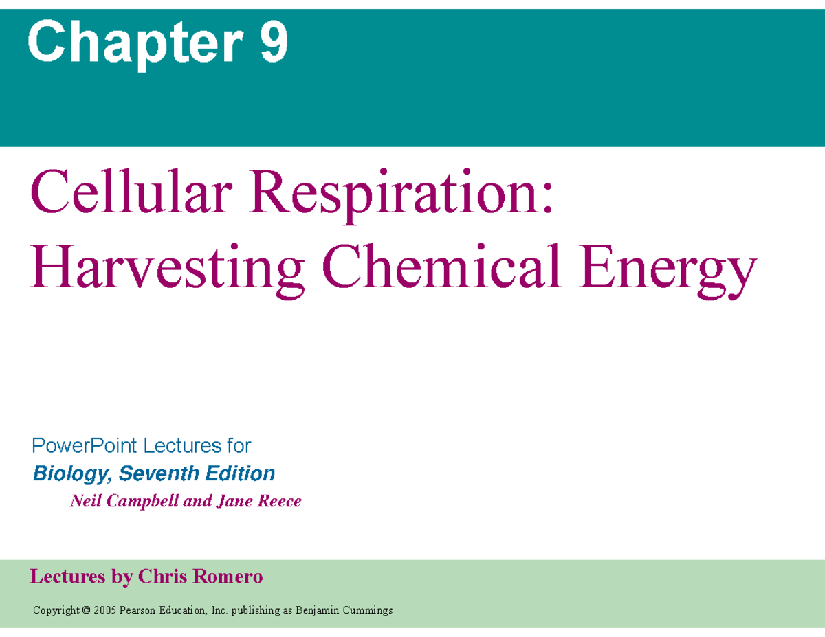 Chapter 9 - PowerPoint Lectures for Biology, Seventh Edition Neil Campbell and Jane Reece ...