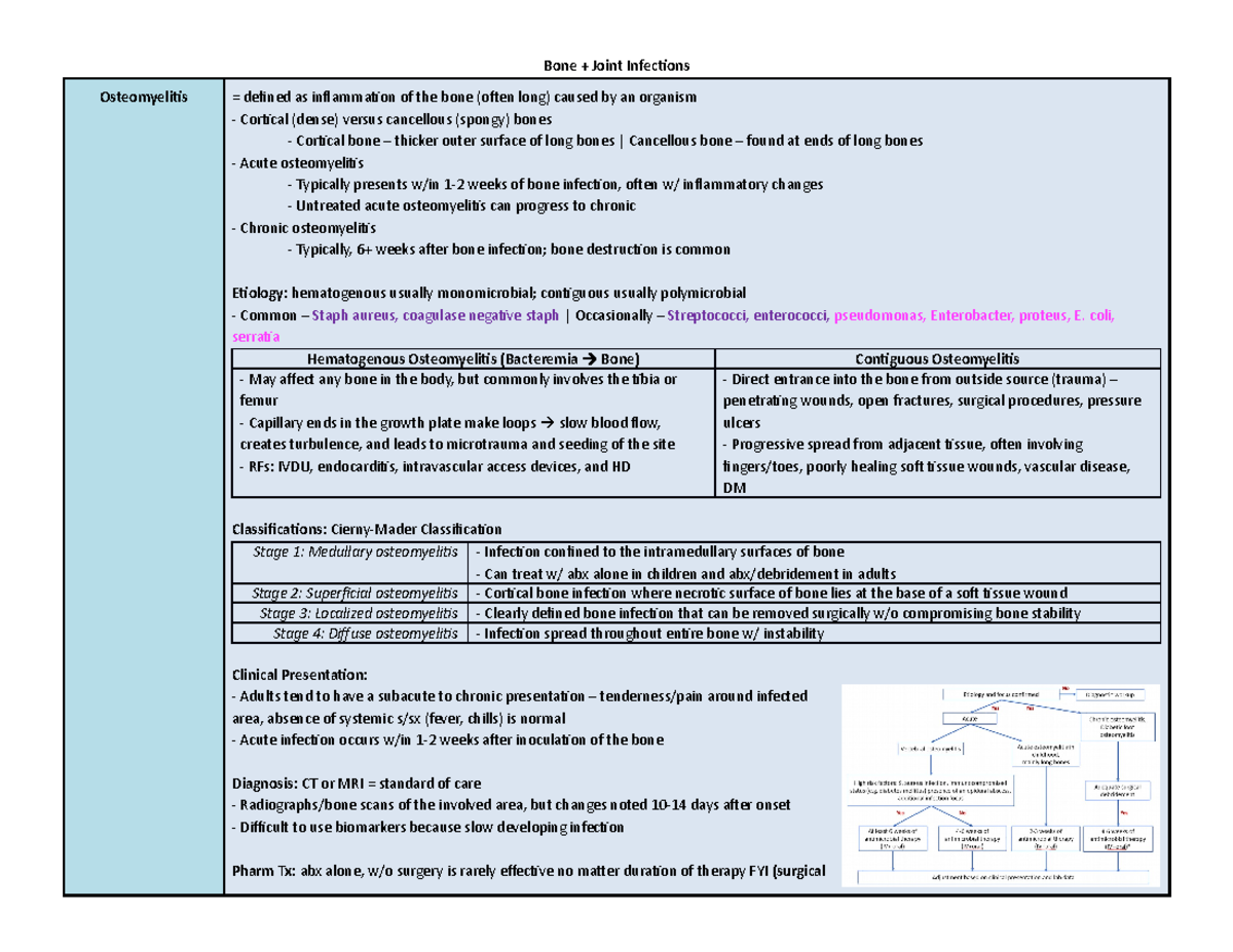 Bone and Joint Infections - Bone + Joint Infections Osteomyelitis ...