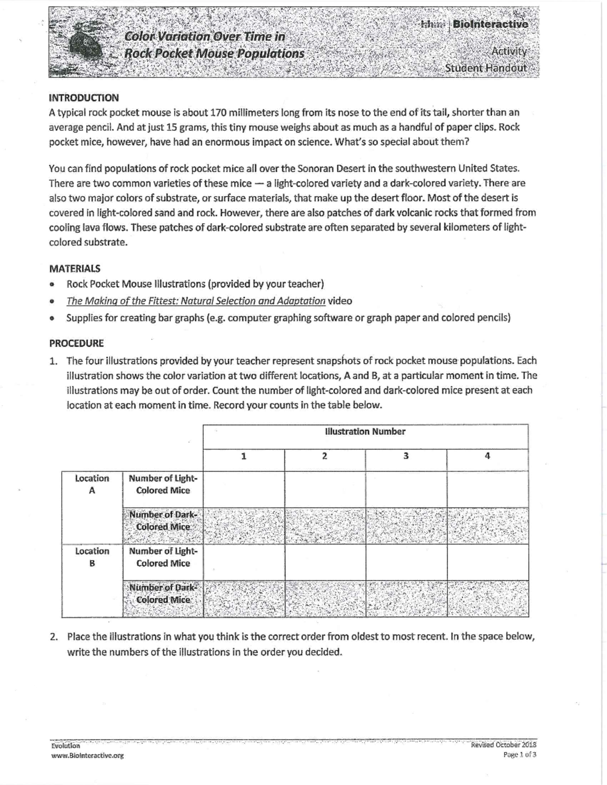 Rock pocket mouse - BIOL 1108 - Studocu