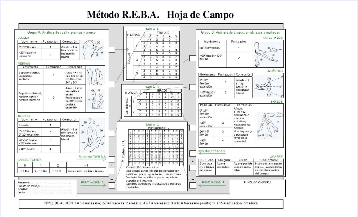 Pdf-metodo-reba-hoja-campo compress - Método R.E.B. Hoja de Campo TABLA A Grupo A: Análisis de ...