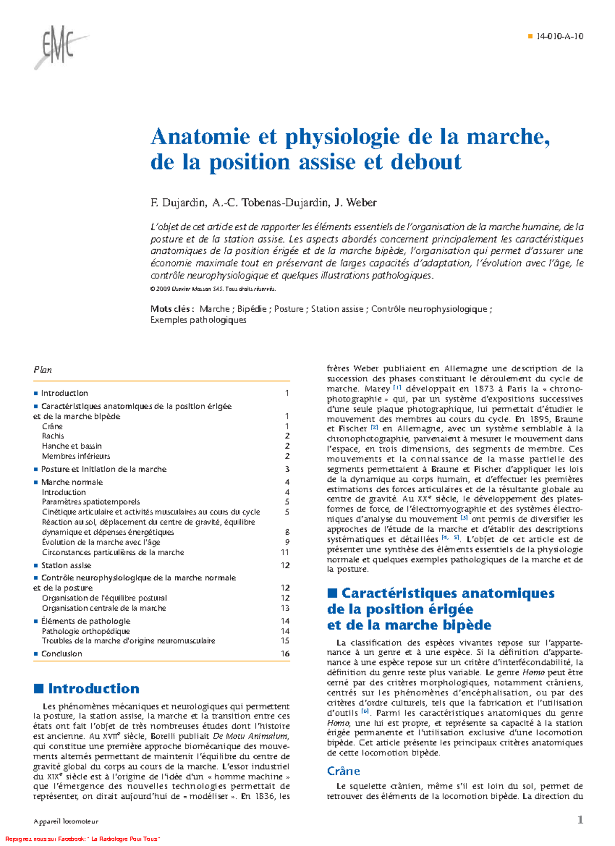 Anatomie et physiologie de la marche de la position assise et debout ...