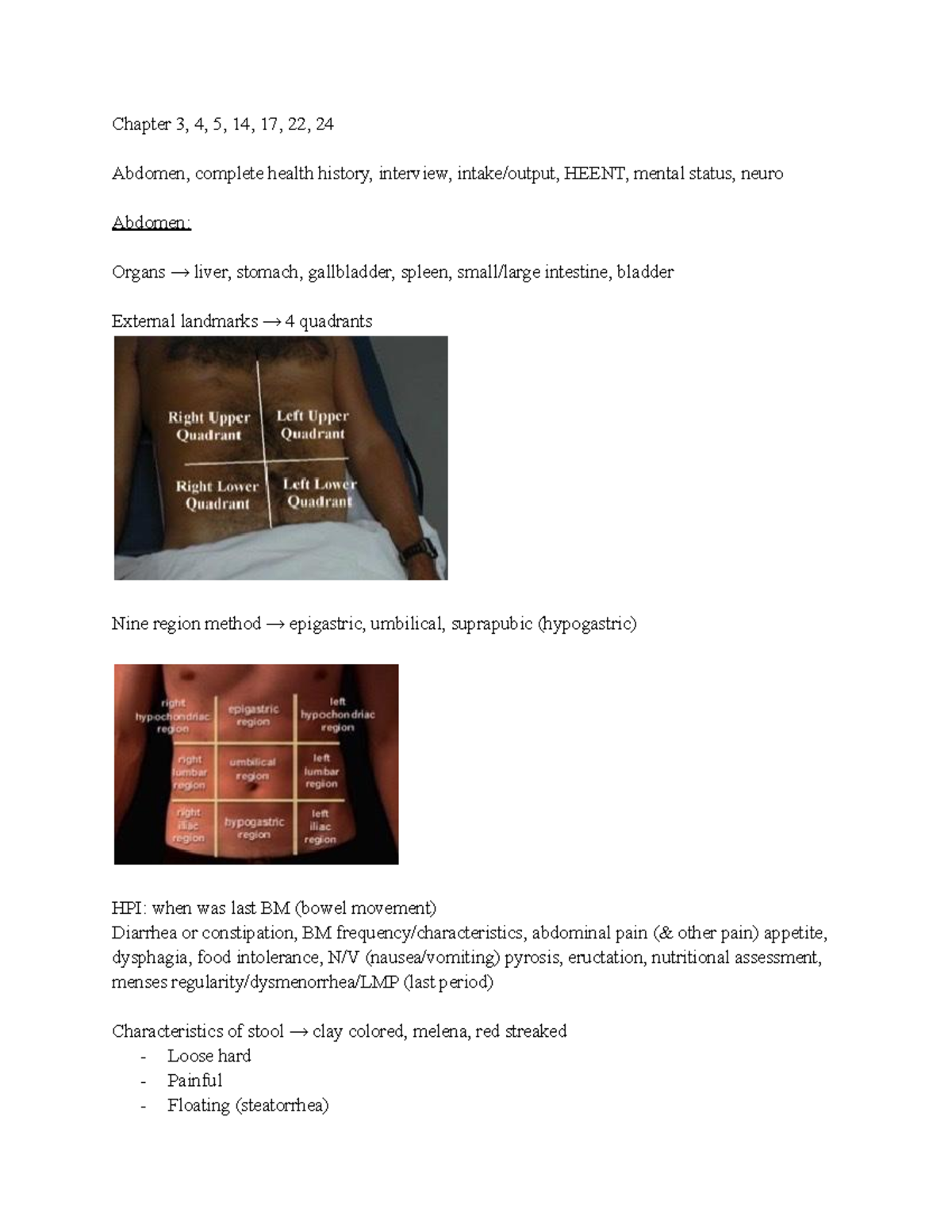 Health Assessment Study Guide - Chapter 3, 4, 5, 14, 17, 22, 24 Abdomen ...