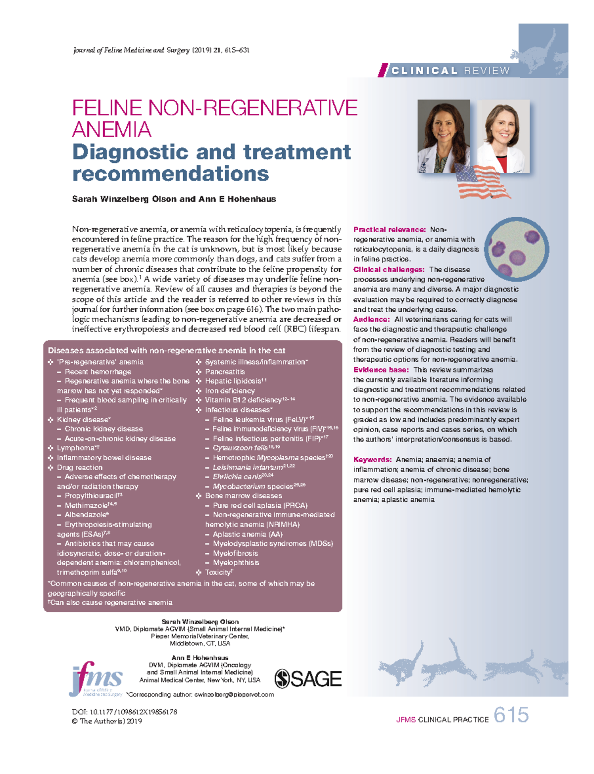 Feline NON- Regenerative Anemia - JFMS CLINICAL PRACTICE 615 C L I N I ...