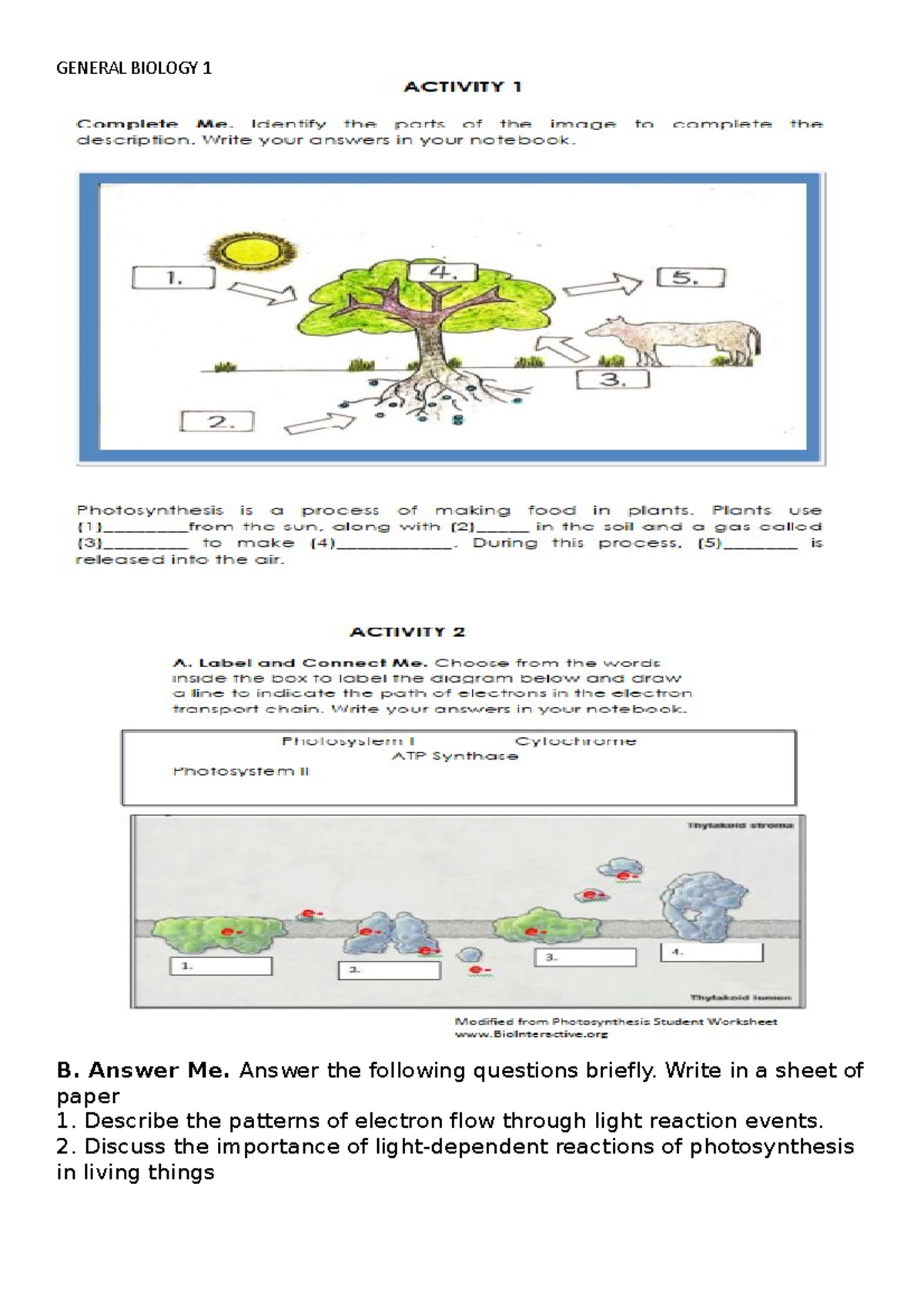 General Biology 1 activities - GENERAL BIOLOGY 1 B. Answer Me. Answer ...