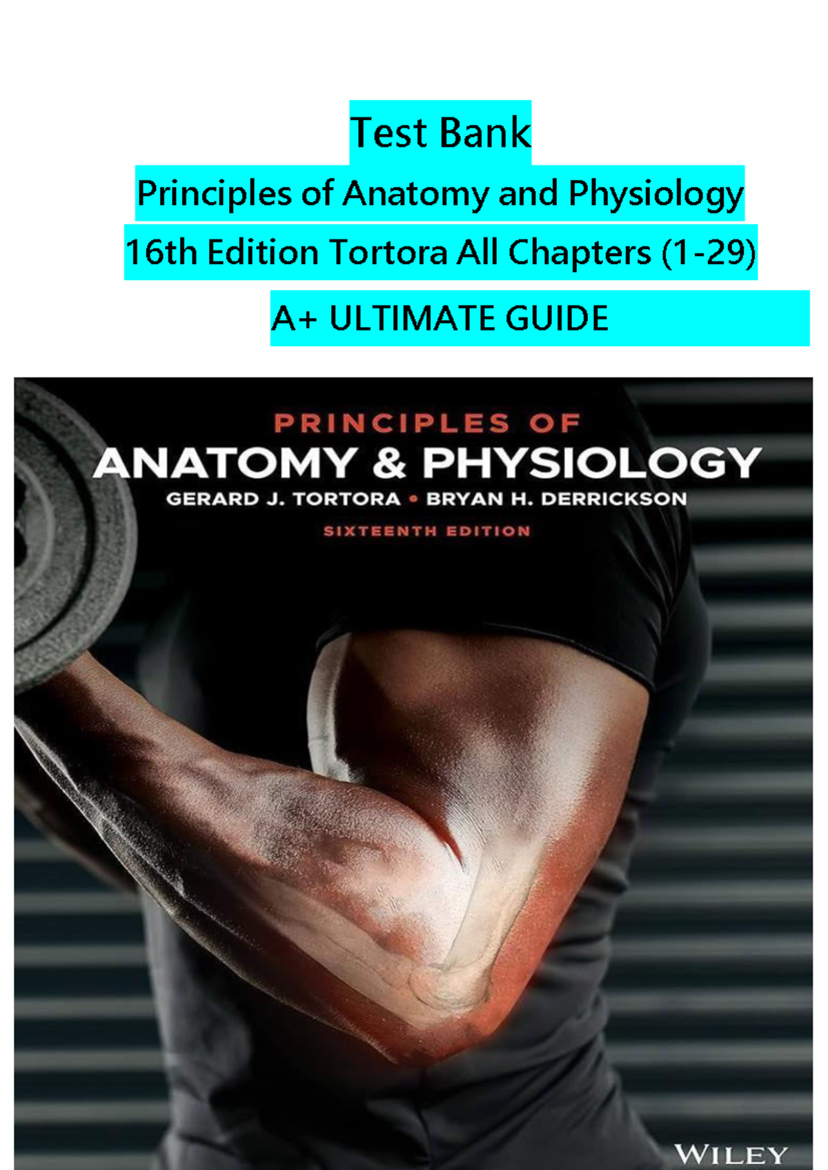 Test Bank Principles of Anatomy and Physiology 16th Edition Tortora All ...