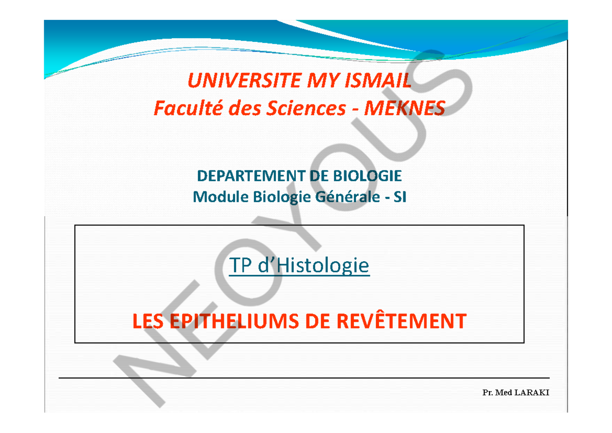 TP Histologie-SVTU-1 Laraki - UNIVERSITE MY ISMAILUNIVERSITE MY ISMAIL ...