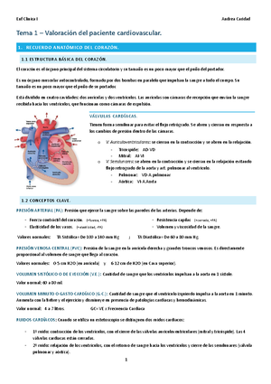 12.4. Tabla Y Graficos DE Volumenes Y Capacidades Pulmonares - VC o VT ...