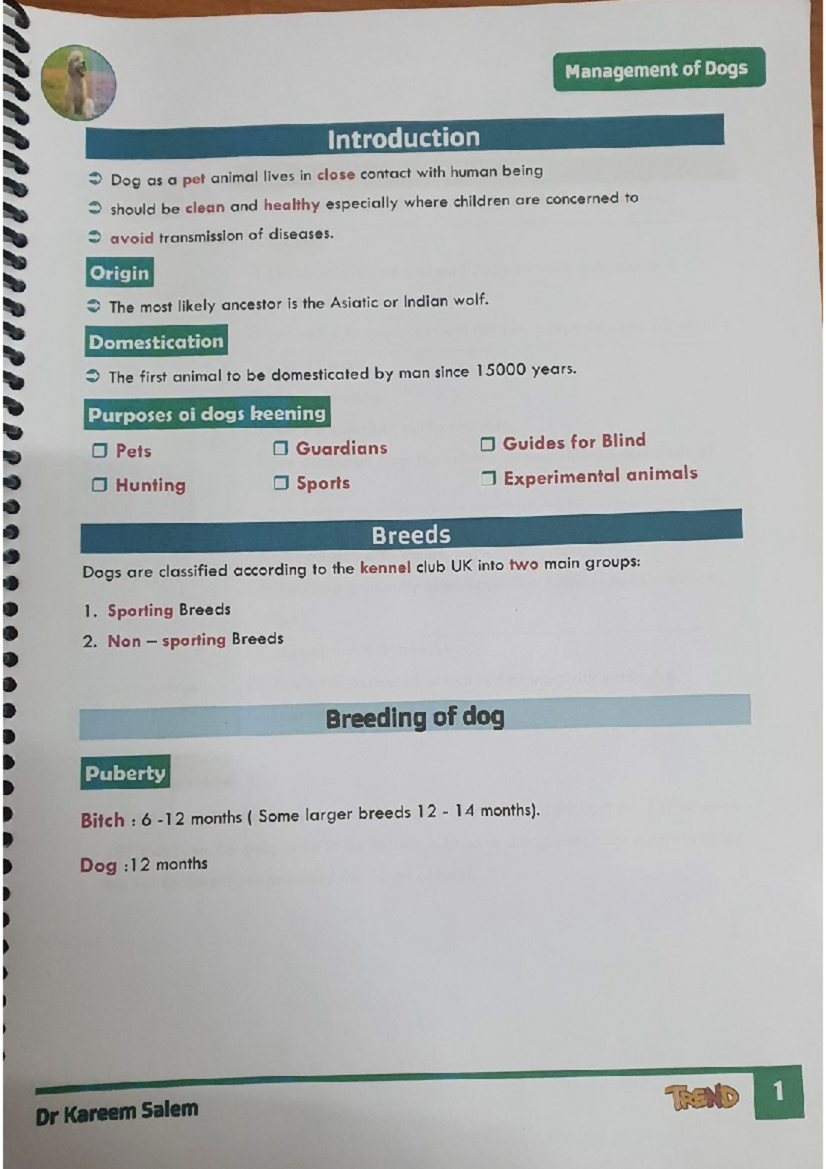 Management of dog - Animal behavior - Studocu