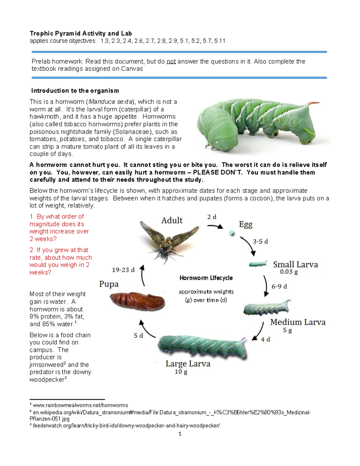 2 Trophic Pyramid 23 - Trophic Pyramid Activity and Lab applies course ...