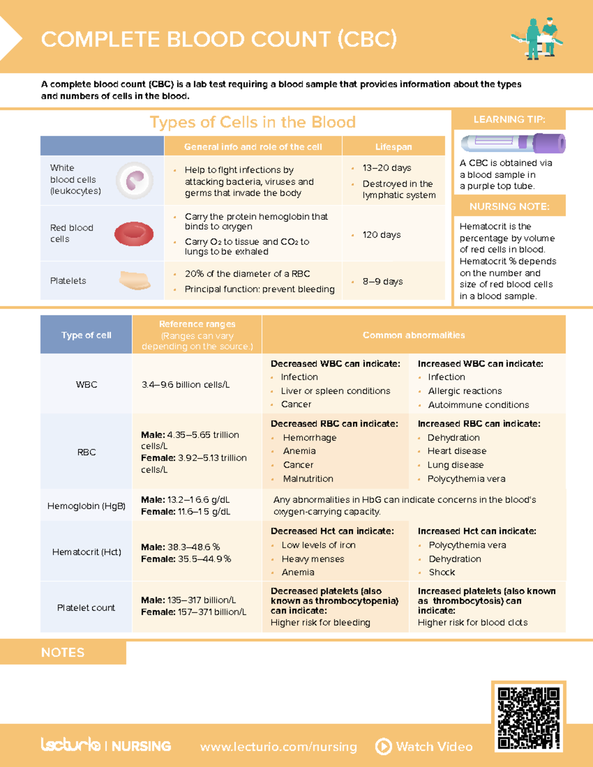Nursing CS Complete Blood Count - lecturio/nursing Watch Video NOTES ...