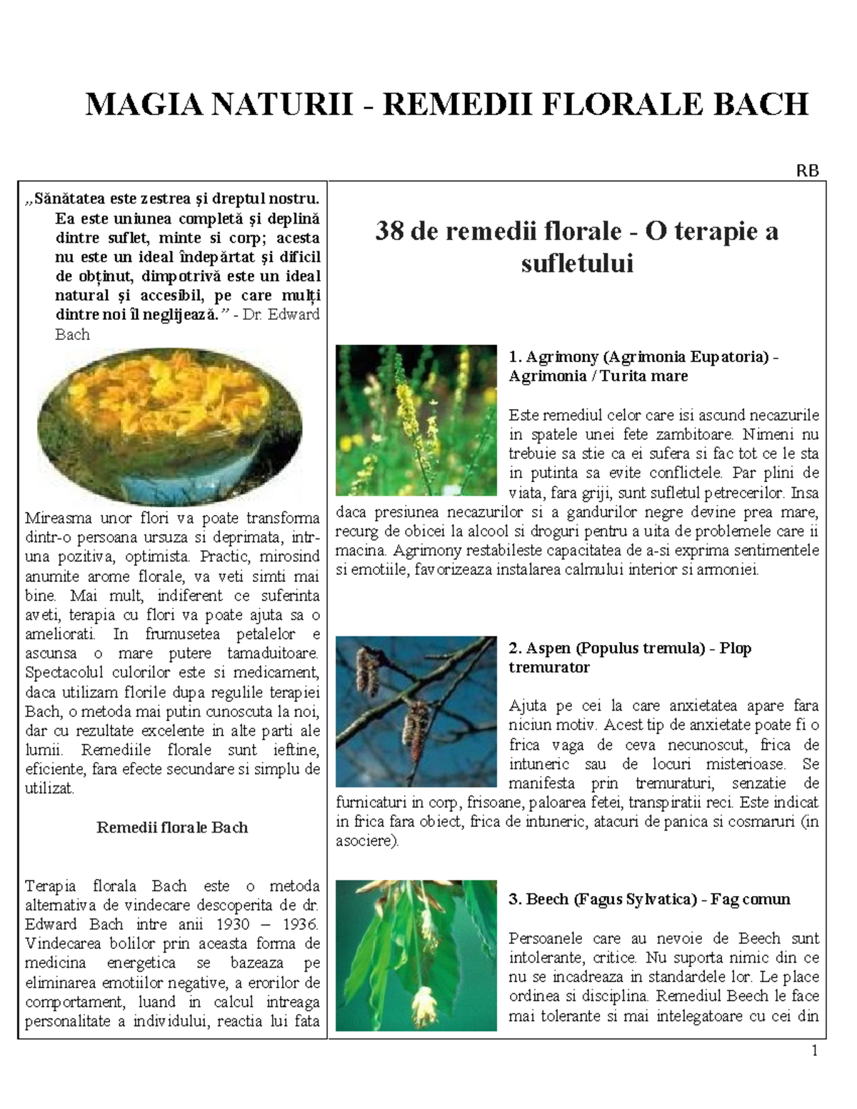 Remedii Florale Bach pdf - MAGIA NATURII - REMEDII FLORALE BACH RB ...