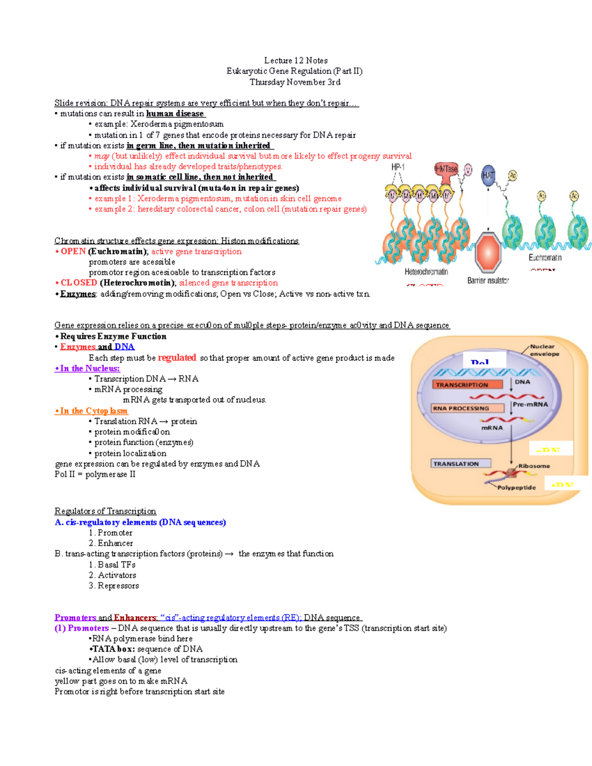 Lecture 12 Notes - Mendelian and molecular genetics; mechanisms of ...