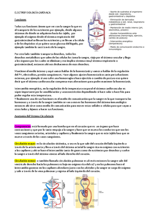 gradiente quimico y eléctrico - Gradiente químico: Paso de soluto no ...