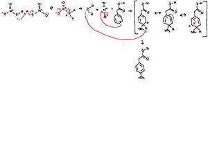 Organic Chemistry II Reaction Sheet - Be, or NBS of in 100mo, UV is of ...