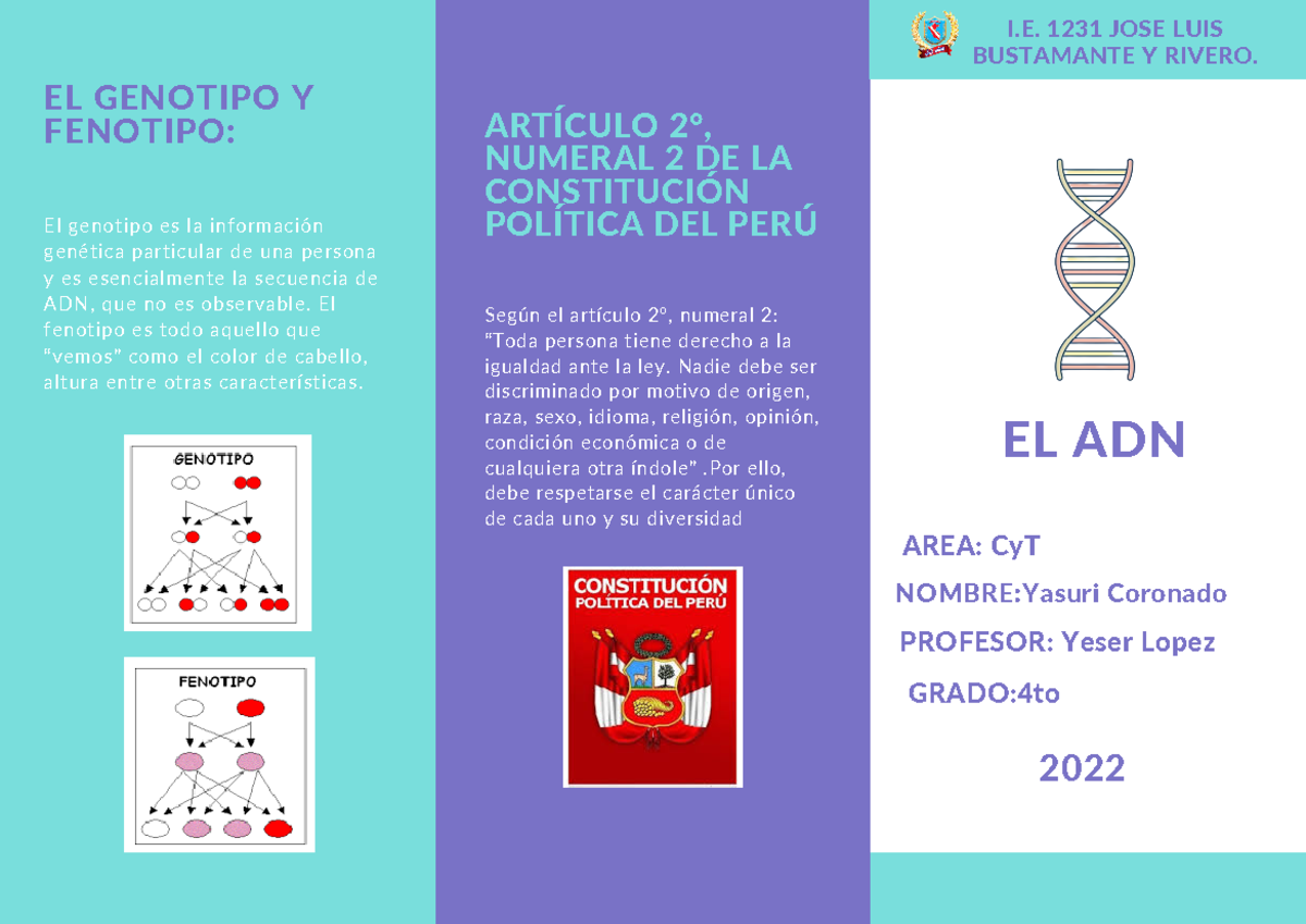 Acuarela y Púrpura Médico Tríptico Folleto (Gratis) - EL ADN AREA: CyT NOMBRE:Yasuri Coronado ...