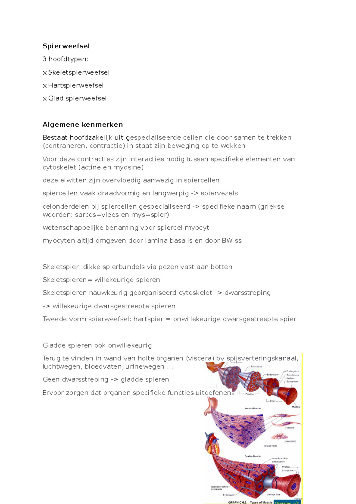 H2b Spierweefsel - samenvatting - Spierweefsel 3 hoofdtypen: x ...