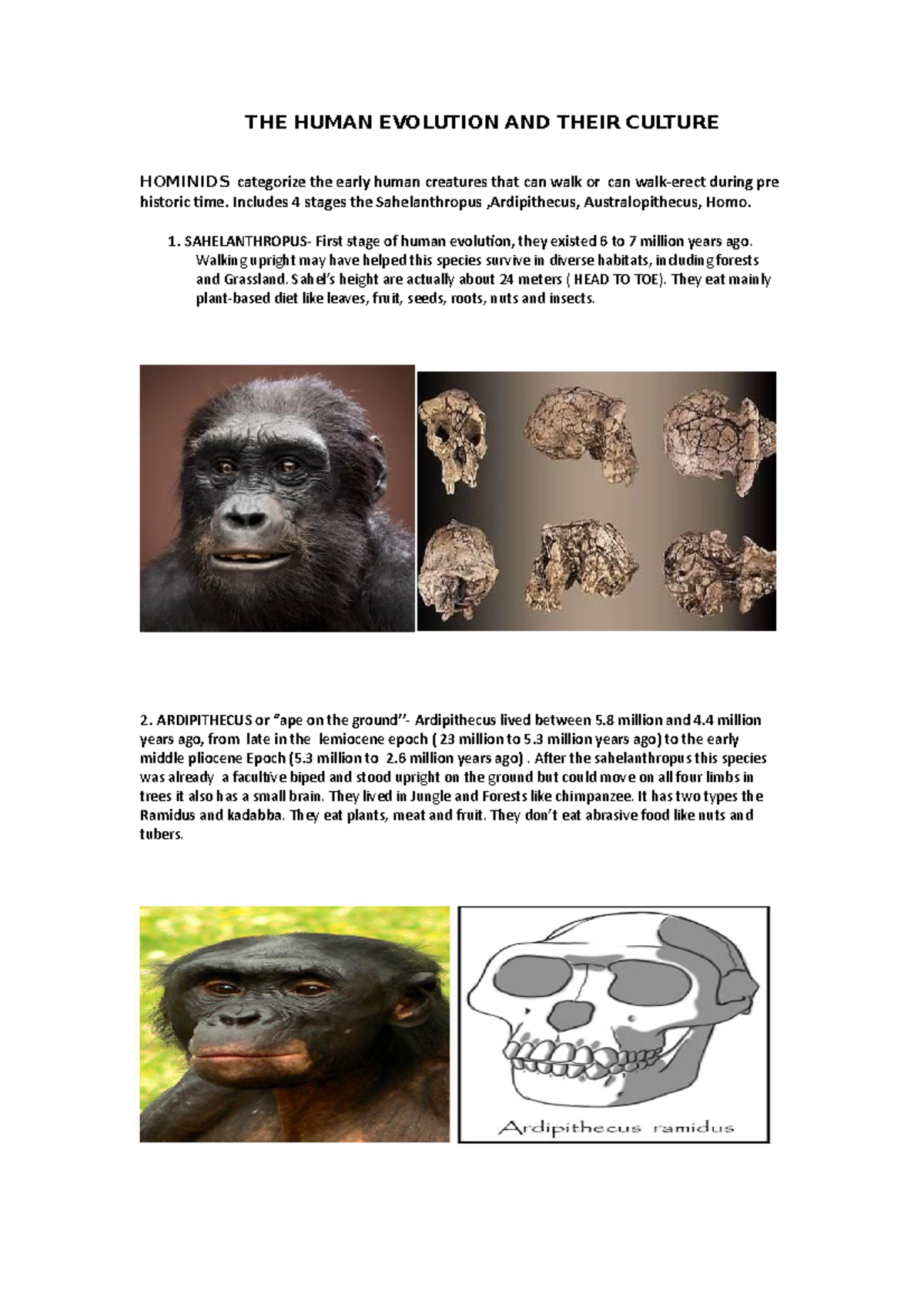 Ape - ANTRHOPOLOGY - THE HUMAN EVOLUTION AND THEIR CULTURE HOMINIDS ...
