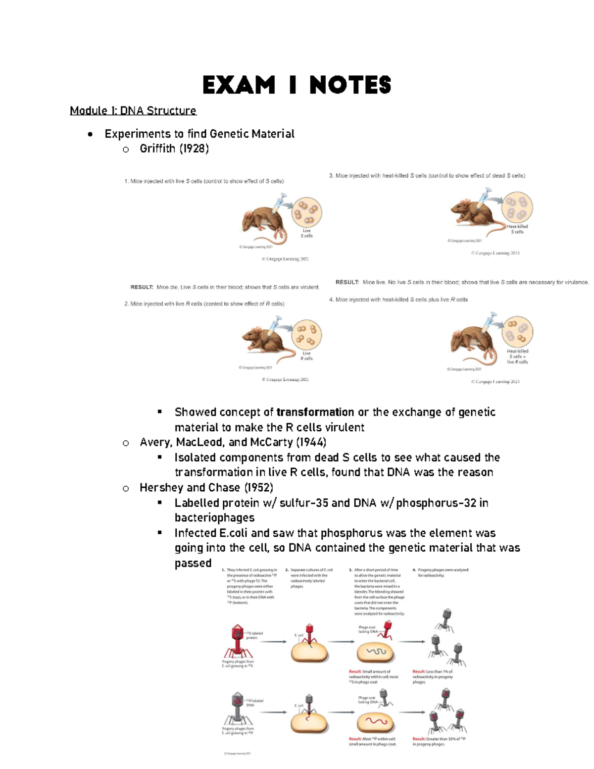 Exam1Notes - Exam 1 Notes covering Modules 1-5 - Module 1: DNA ...