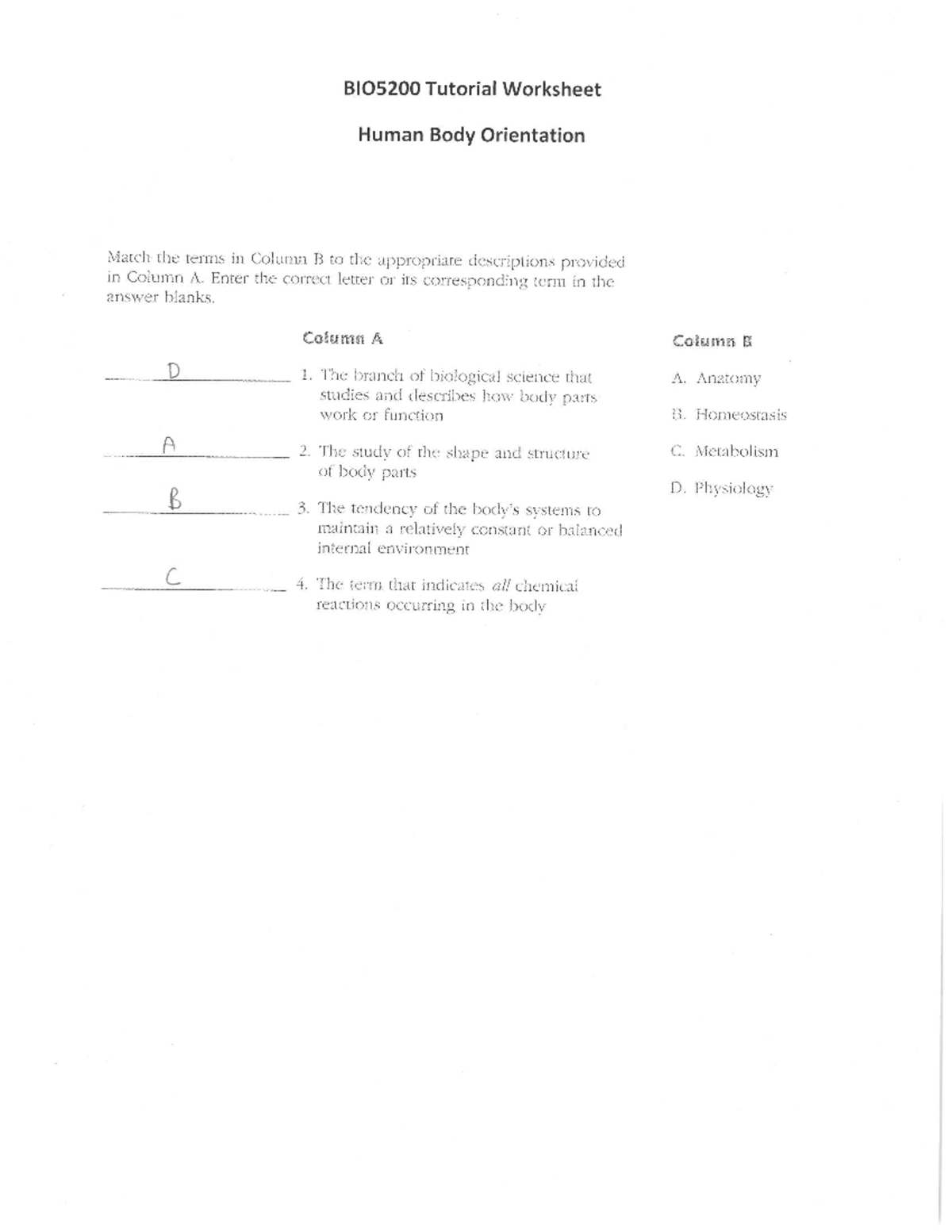 Answers Human Body Orientation NSG5113 Studocu answers-human-body-orientation-nsg5113-studocu