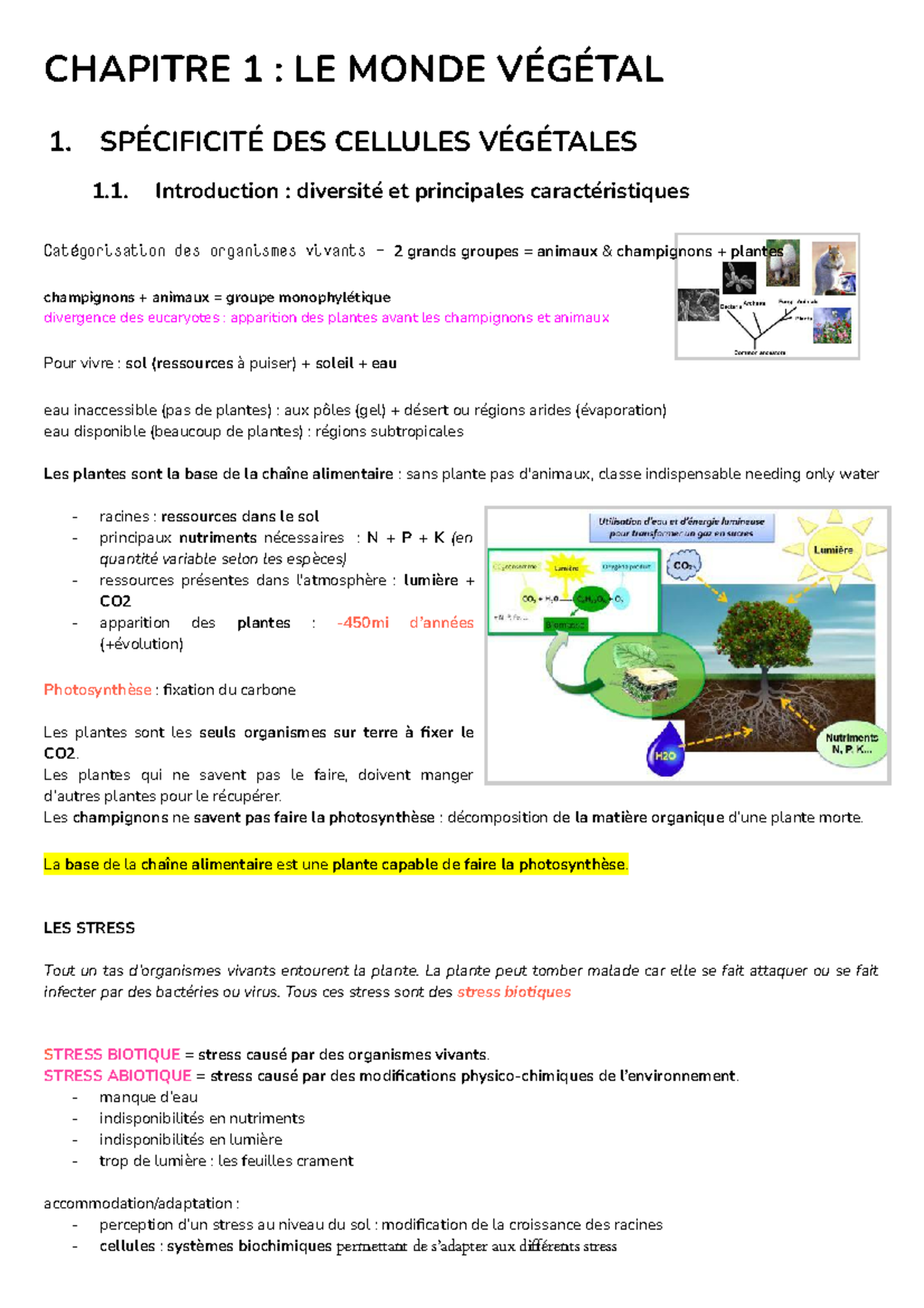 Chap 1 - Le monde végétal - CHAPITRE 1 : LE MONDE VÉGÉTAL 1 ...