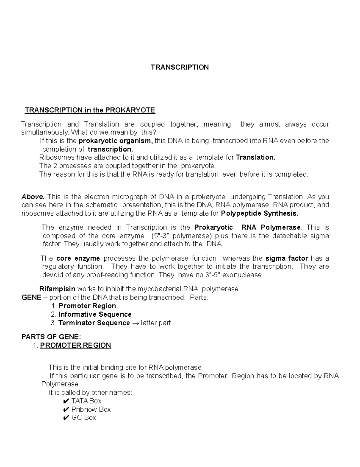 Transcription - notes - TRANSCRIPTION TRANSCRIPTION in the PROKARYOTE ...