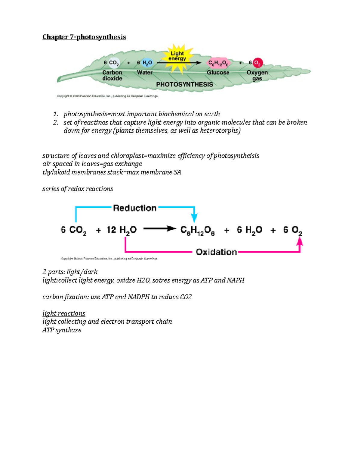 Chapter 7 - lecture notes - Chapter 7-photosynthesis photosynthesis ...