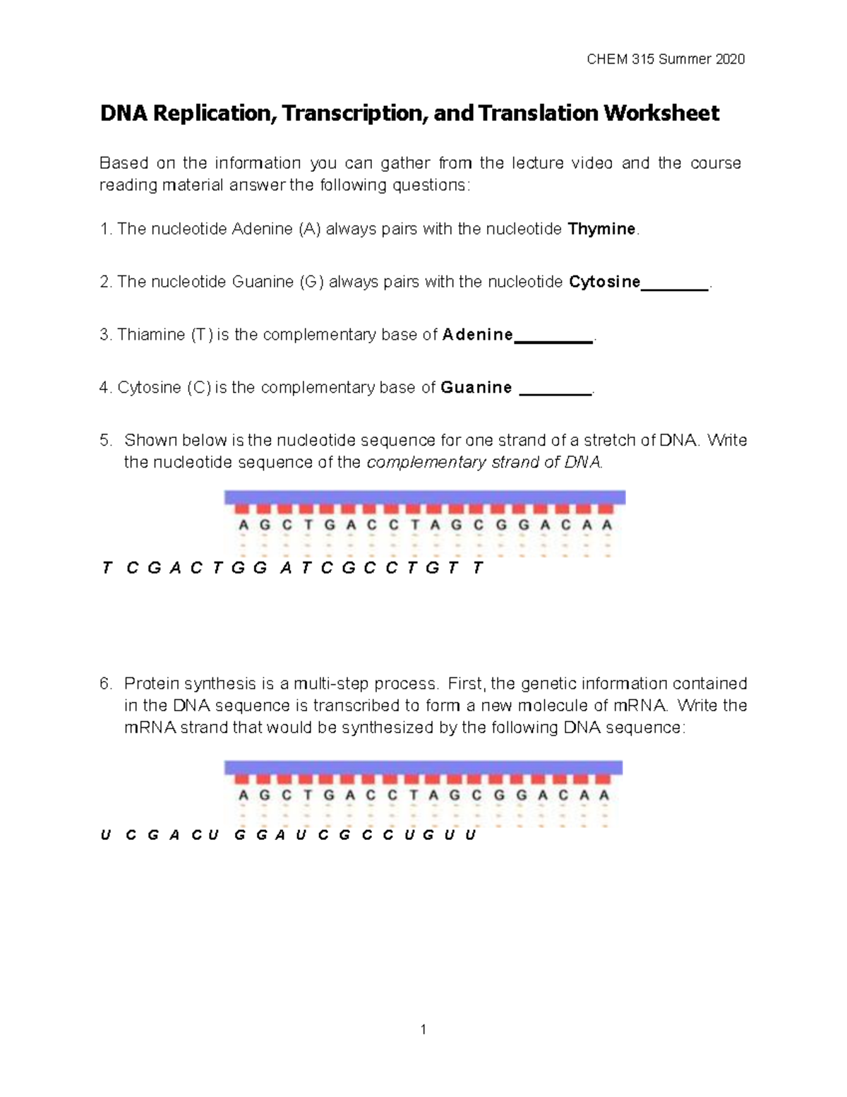 DNA Acvitiy Worksheet - DNA Replication, Transcription, and Translation ...