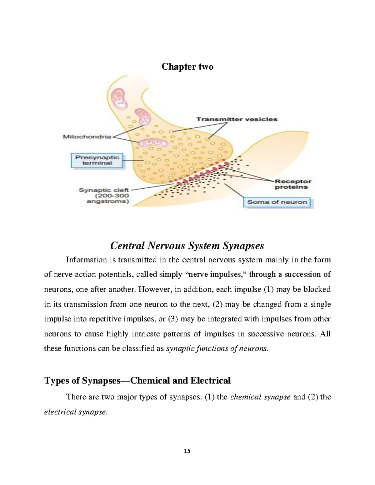 NEU physio-Central Nervous System Synapses - Chapter two Central ...