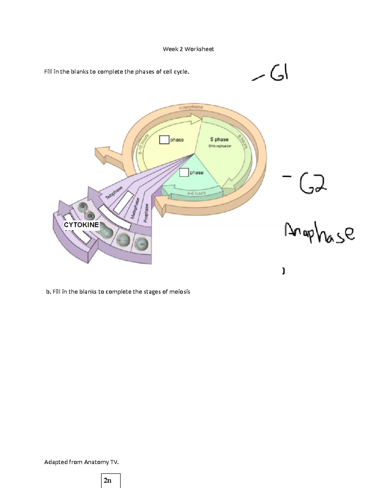 Week 3 Worksheet - Week 2 Worksheet Fill in the blanks to complete the ...