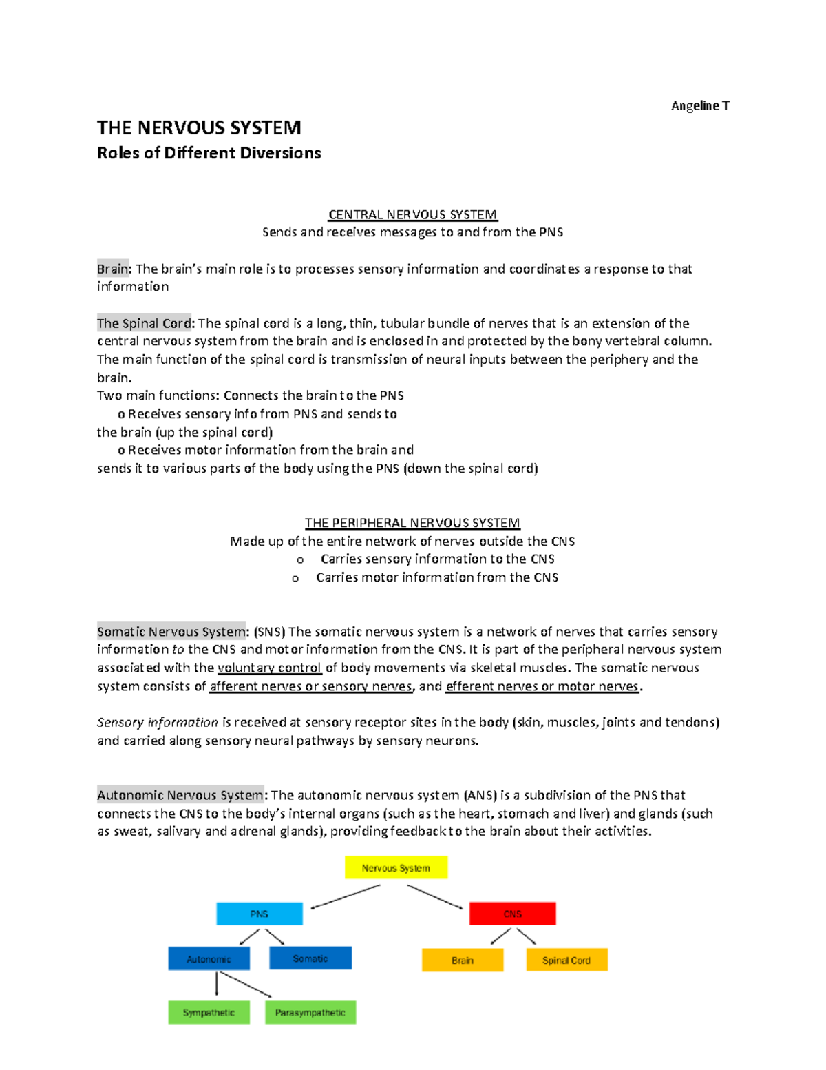 The Nervous System - Warning: TT: undefined function: 32 Warning: TT: undefined function: 32 ...