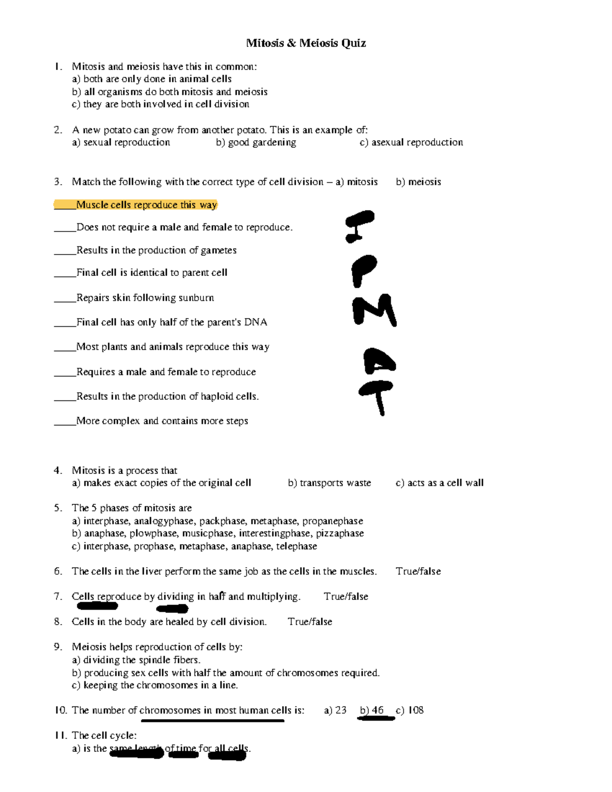 Mitosis and meiosis quiz - Mitosis & Meiosis Quiz Mitosis and meiosis ...