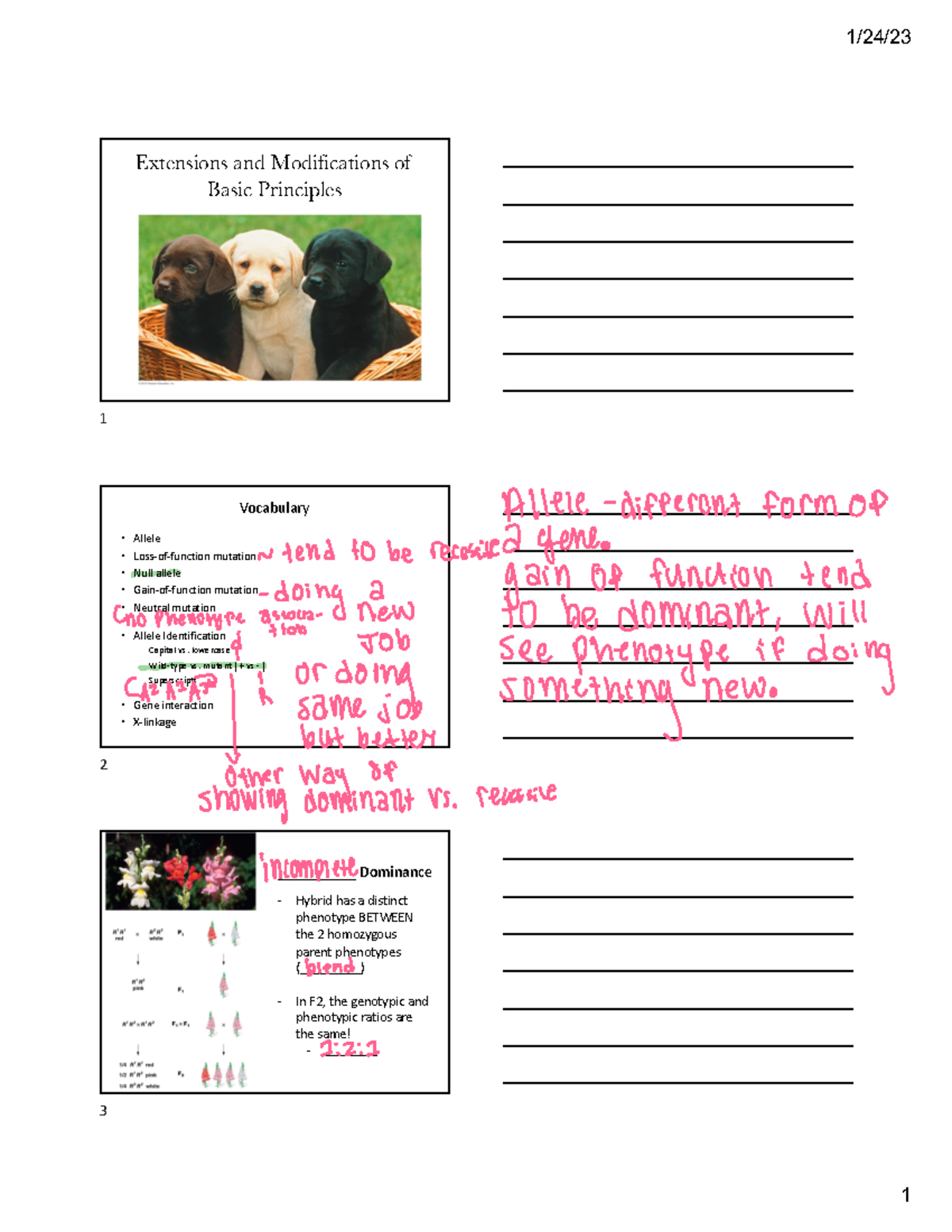 Ch+4s - In class lecture given by Dr.Tsai - Extensions and ...