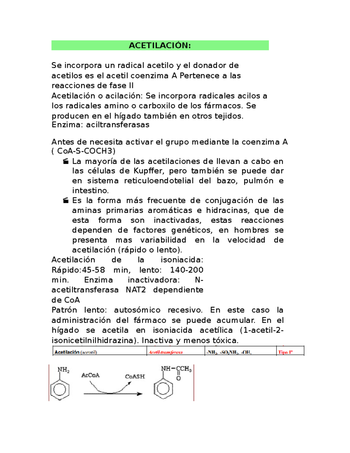 Isoniazida, Acetilación - ACETILACIÓN: Se incorpora un radical acetilo ...