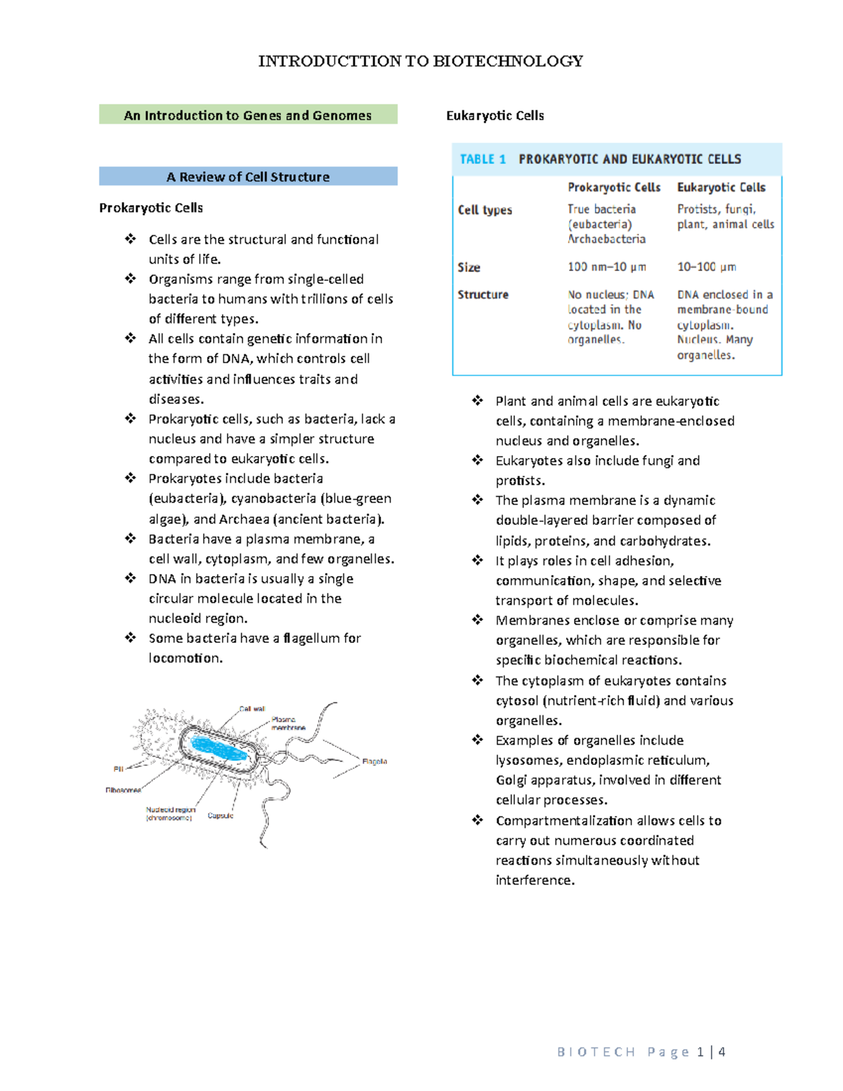 Introduction to Biotechnology Cells Structure and Functions - An ...