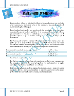 Morfogénesis dentaria - BIOPATOLOGÍA Y CONSIDERACIONES CLÍNICAS DE LA ...