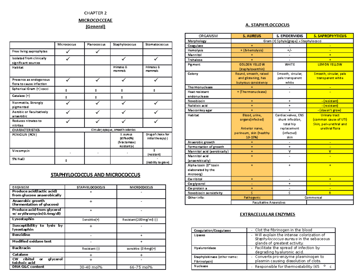 Chapter 2 microbio table - CHAPTER 2 MICROCOCCEAE (General) A ...