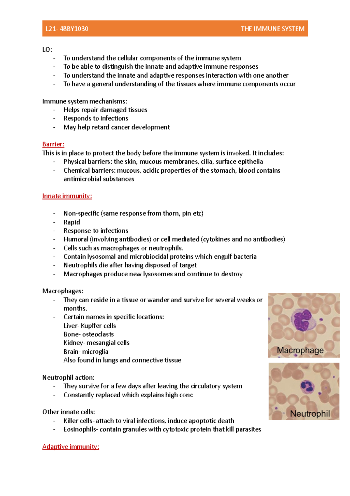 L21- immune system - Lecture notes 21 - LO: To understand the cellular ...