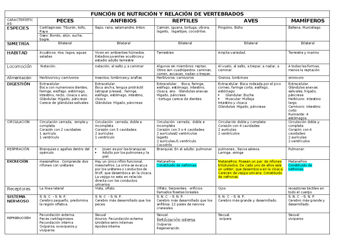 Sistemas vertebrados - FUNCIÓN DE NUTRICIÓN Y RELACIÓN DE VERTEBRADOS ...