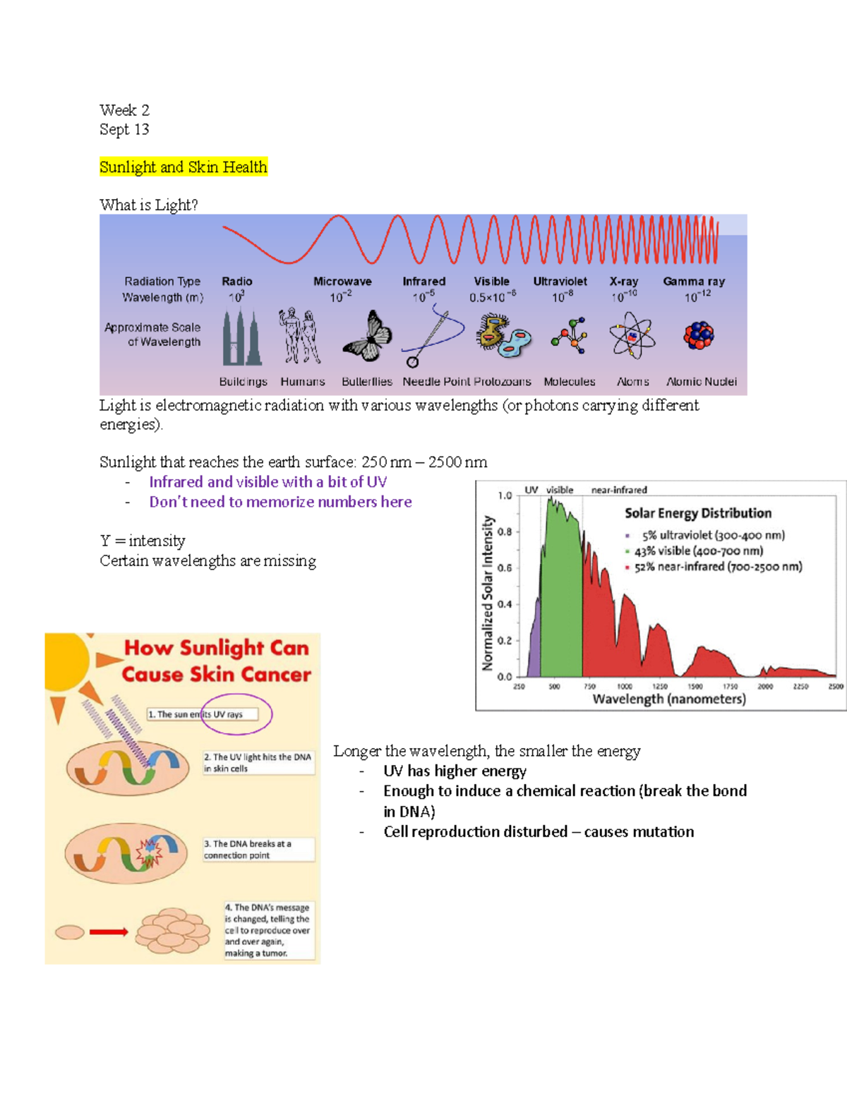 Week 2: Sunlight, Sunscreen and Photochemical Reactions - Week 2 Sept ...