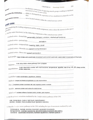 Doris Anderson- Cardiovascular - Simulation: Health Assess 2. Module ...