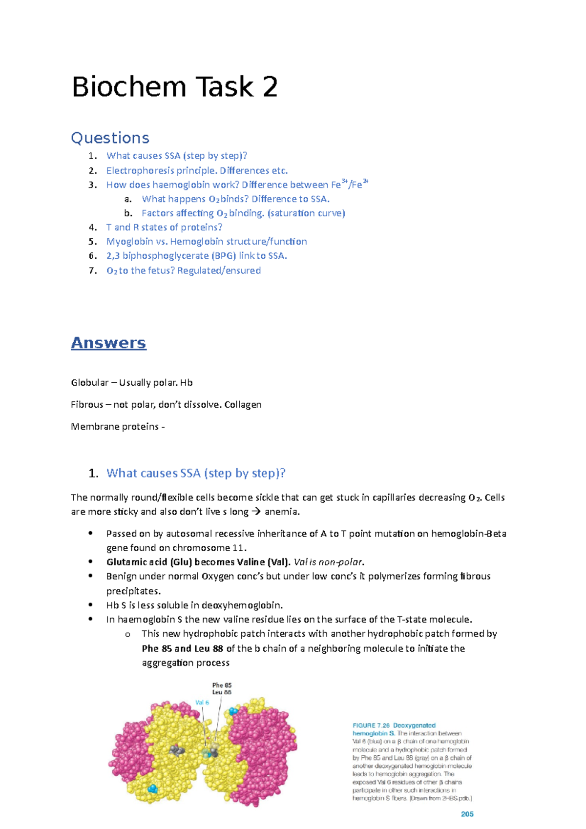 Biochem Task 2 - Differences etc. How does haemoglobin work? Difference ...