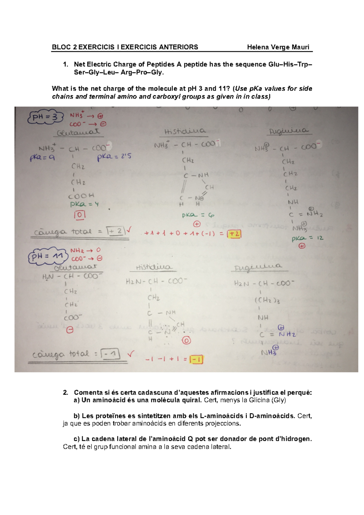 Exercicis aminoàcids, corbes d'afinitat, comportament Michaelià i activitat enzimàtica - BLOC 2 ...