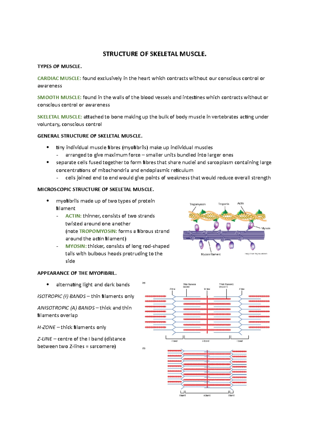 The structure of skeletal muscle and the mechanism of muscle ...