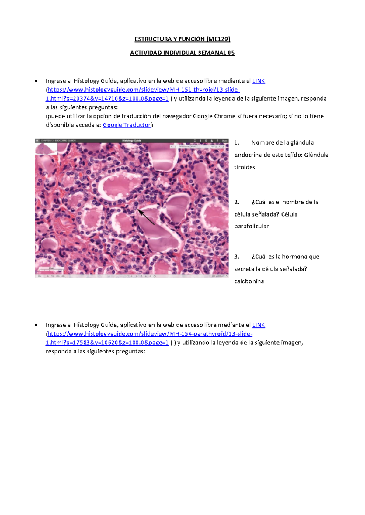 ME129 Ey F Tarea Sem05 24 - ESTRUCTURA Y FUNCIÓN (ME1 29 ) ACTIVIDAD ...