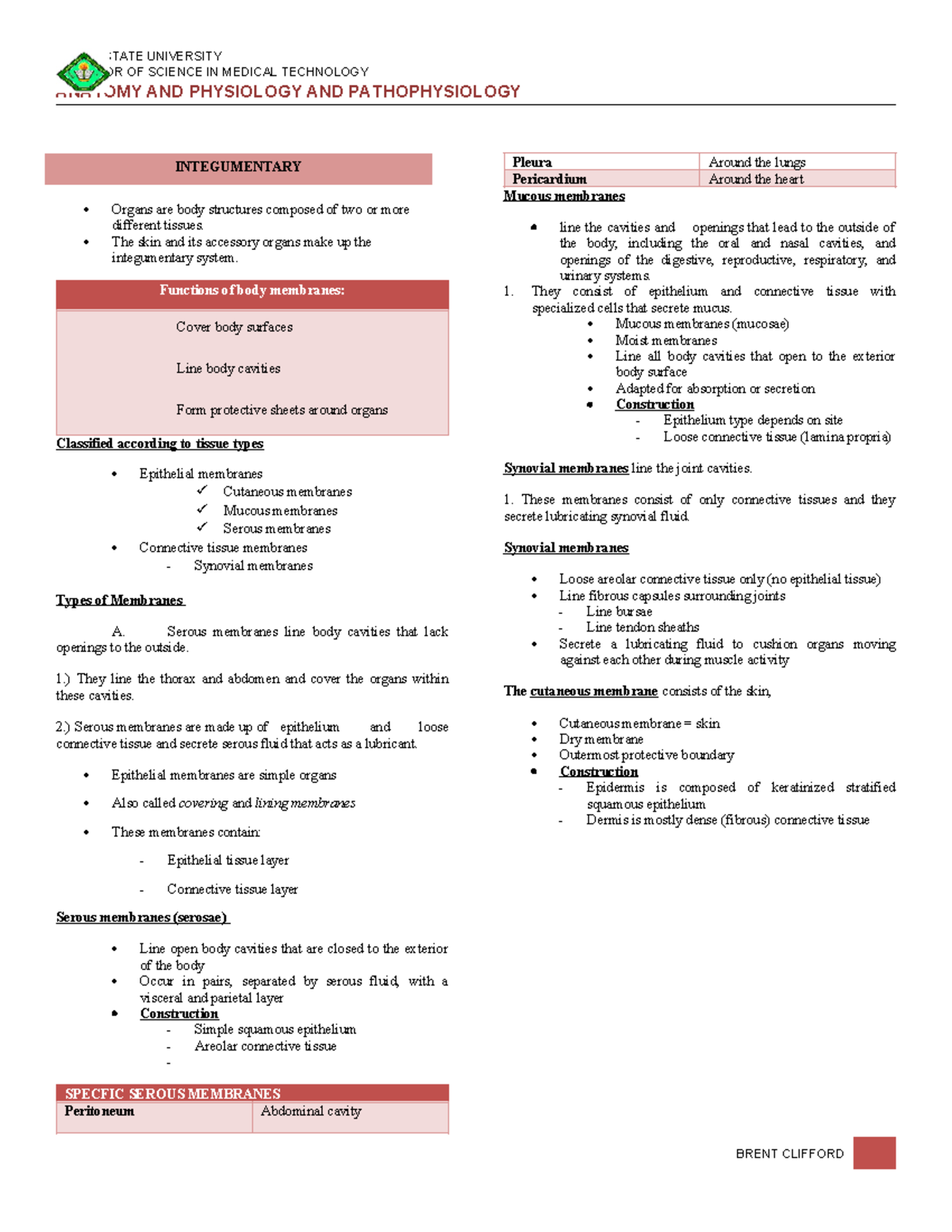Integumentary - Human Anatomy and physiology with pathophsiology ...