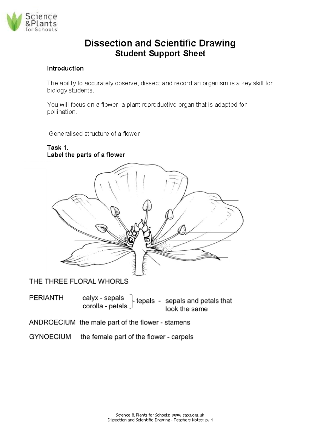 SAPS - Dissection and scientific drawing - student support sheet ...