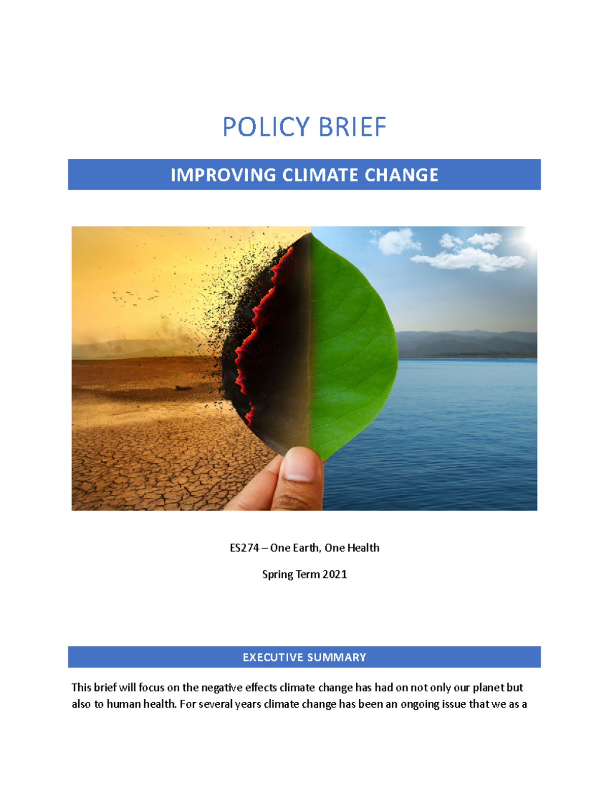Advocacy Brief - final assignment - POLICY BRIEF IMPROVING CLIMATE ...