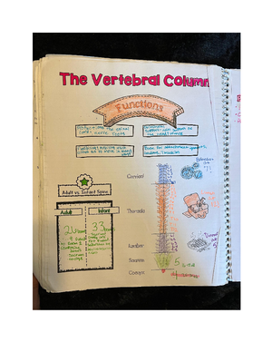 Chapter 1 - CHAPTER 1 ####### iNTRODUCTiON TO ANATOMY AND ...