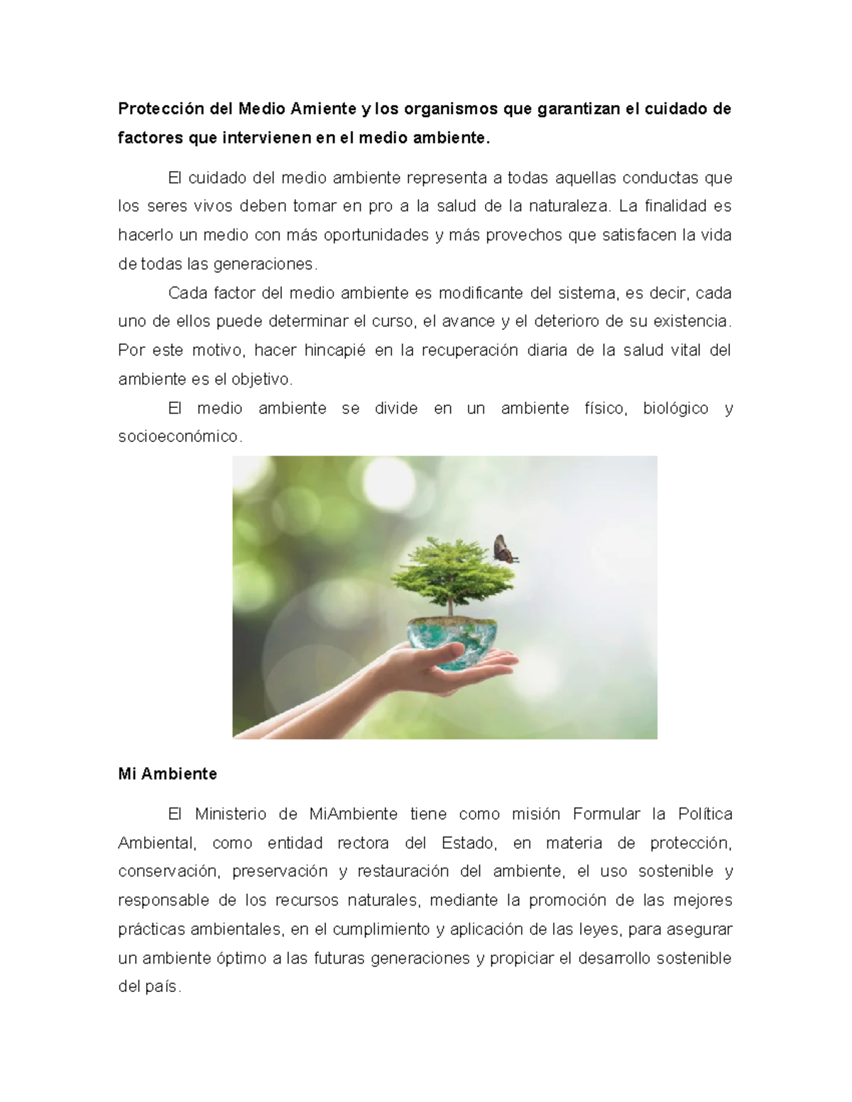 Protección del Medio Amiente - El cuidado del medio ambiente representa ...